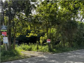 Van Scoy Puerto Rico, Venta Bienes Raíces Bayamón Puerto Rico, Real ...