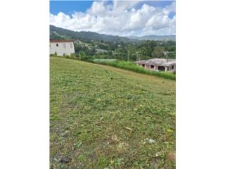 Las Pinas Puerto Rico, Venta Bienes Raíces Caguas Puerto Rico, Real ...