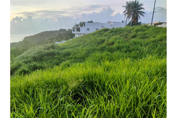 Coto Puerto Rico, Venta Bienes Raíces Isabela Puerto Rico, Real Estate ...