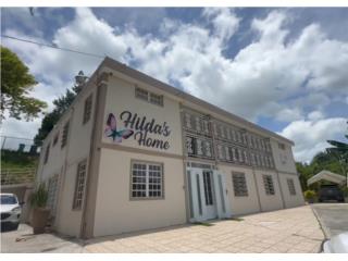 Guama Puerto Rico, Venta Bienes Raíces San Germán Puerto Rico, Real ...