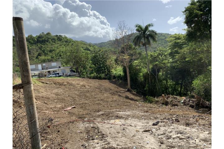 Quebrada Grande Puerto Rico, Venta Bienes Raíces Trujillo Alto Puerto ...