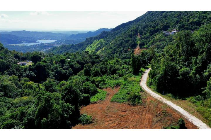 El Semil Puerto Rico, Venta Bienes Raíces Villalba Puerto Rico, Real ...