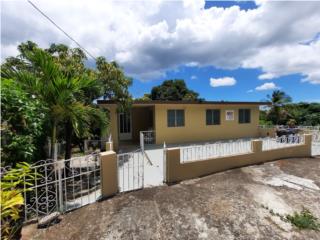 Pasto Puerto Rico, Venta Bienes Raíces Coamo Puerto Rico, Real Estate ...
