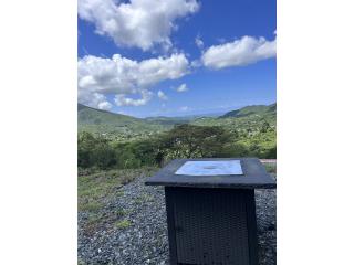 Vazquez Puerto Rico, Venta Bienes Raíces Salinas Puerto Rico, Real ...