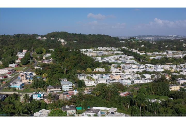 Caimito Alto Puerto Rico, Bienes Raices Caimito Alto Real Estate San ...