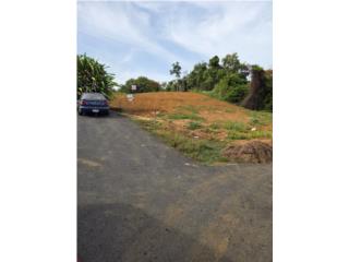 Mora Puerto Rico, Venta Bienes Raíces Isabela Puerto Rico, Real Estate ...