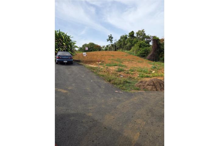 Mora Puerto Rico, Venta Bienes Raíces Isabela Puerto Rico, Real Estate ...