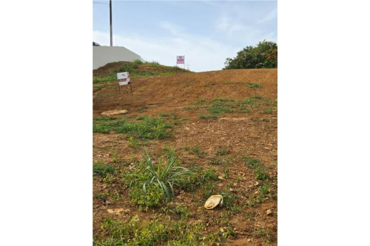 Mora Puerto Rico, Venta Bienes Raíces Isabela Puerto Rico, Real Estate ...