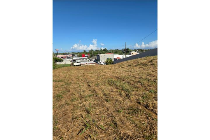 Mora Puerto Rico, Venta Bienes Raíces Isabela Puerto Rico, Real Estate ...