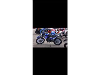 Bashan Raven,2022,ApolloPuerto Rico Clasificados