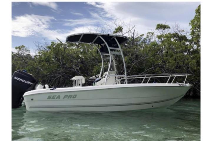 Sea-Pro - Sea Pro 18 2006 motor Mercury 115 4 stroke., Botes Puerto ...