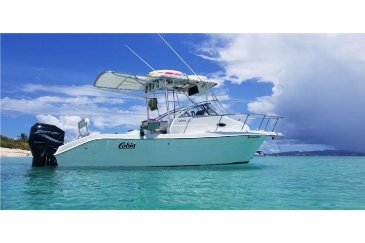 Cobia - Cobia 25 con muchos extras, Botes Puerto Rico Clasificados Online
