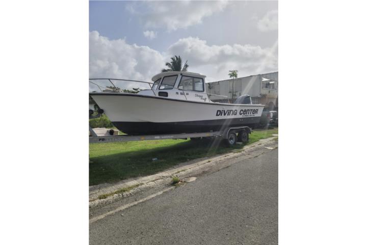 Wellcraft - Steiger Craft 25’ , Botes Puerto Rico Clasificados Online
