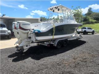 Trophy - Trophy 25 del 2008 , Botes Puerto Rico Clasificados Online