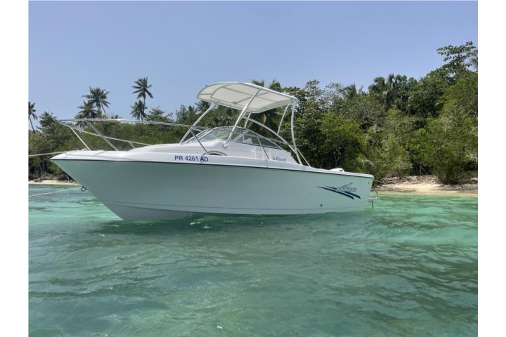 Proline - Proline 201 WA 1999 150hp, Botes Puerto Rico Clasificados Online