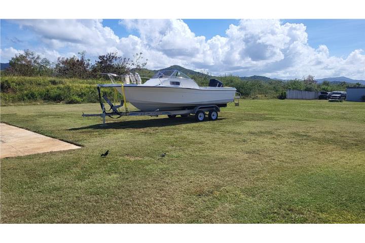 Other-Otro - Celebrity Fish Hawk 2300, Botes Puerto Rico Clasificados ...