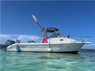 Cobia - Cobia 27 pies cirriendo al dia, Botes Puerto Rico Clasificados ...