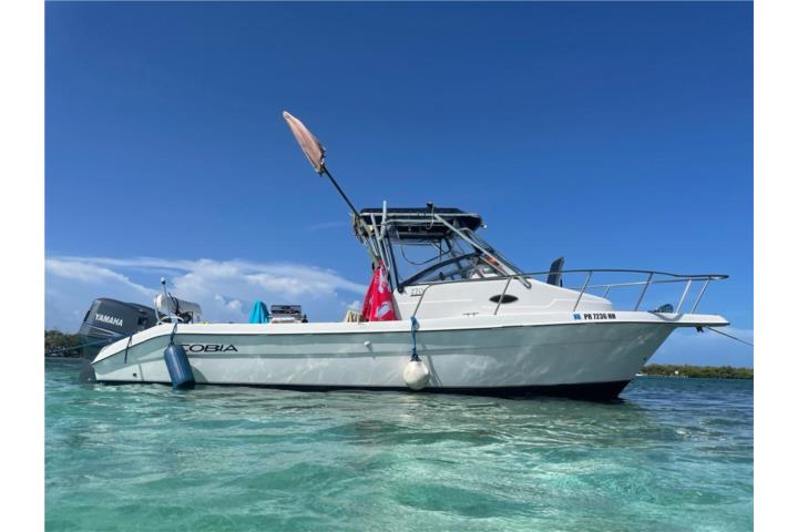Cobia - Cobia 27 pies cirriendo al dia, Botes Puerto Rico Clasificados ...