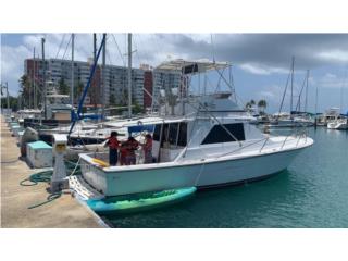 Phoenix - Phoenix 1984, Botes Puerto Rico Clasificados Online