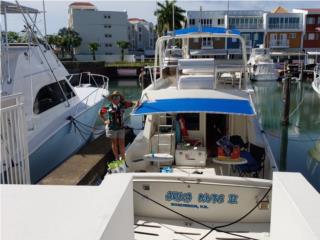 Bertram - Cruiser Guy Couach 49 pies 78, Botes Puerto Rico Clasificados ...