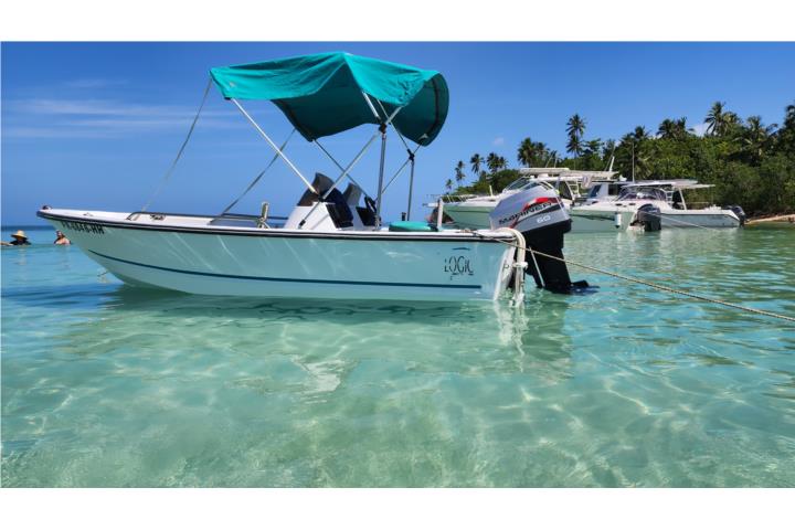 Triumph - Bote Logic 15 pies, Botes Puerto Rico Clasificados Online