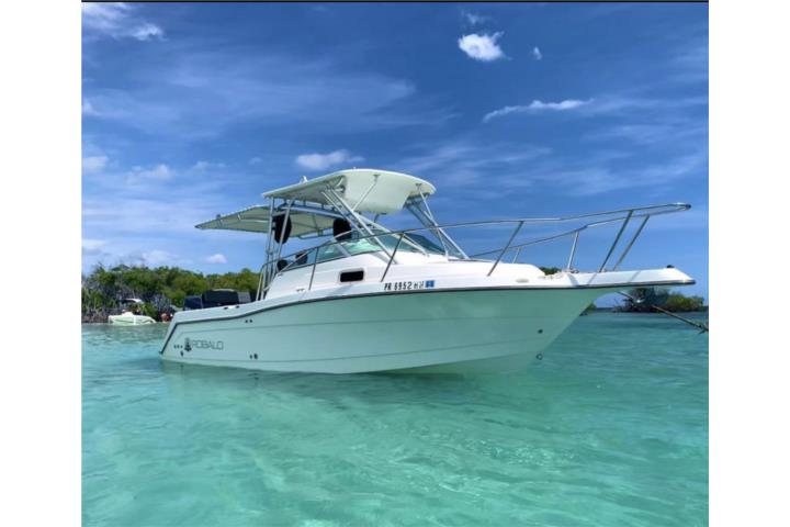 Robalo - 2000 Robalo 24' Walkaround, Botes Puerto Rico Clasificados Online