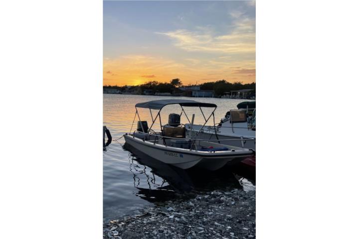 Blue Fin - Blue fin 13 , Botes Puerto Rico Clasificados Online