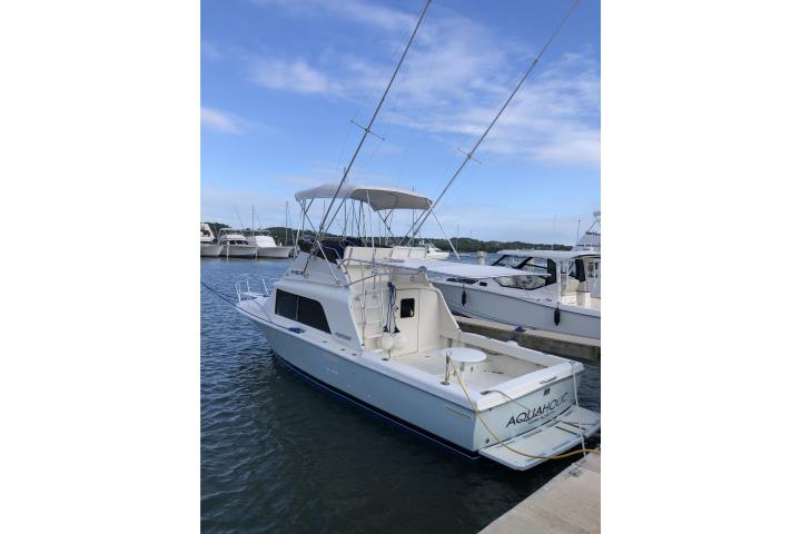 Phoenix - Phoenix 29, Botes Puerto Rico Clasificados Online