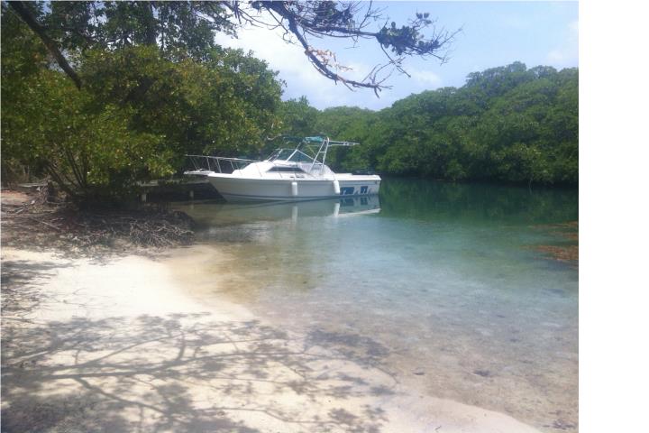 Wellcraft - Vendo Wellcraft 25 pies con dos Mercury 135HP, Botes Puerto ...