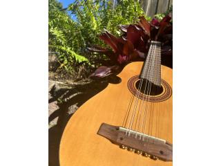 Musicales (Instrumentos) Puerto Rico, ClasificadosOnline.com