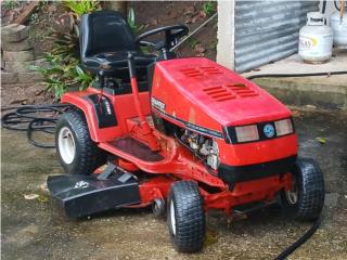 Tractor Snapper Puerto Rico