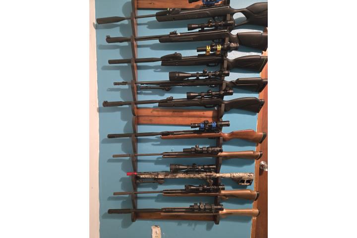 RIFLES DE PELLETS AIR GUN COLECCION GAMO Puerto Rico