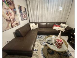 Seccional brown Puerto Rico