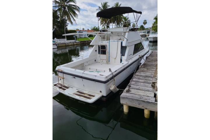 Phoenix - Phoenix 29 1988 Diesel 950hrs. Dueño original, Botes Puerto ...