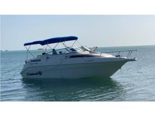 Wellcraft - Wellcraft 25” con Carretón (Lea Bien), Botes Puerto Rico ...