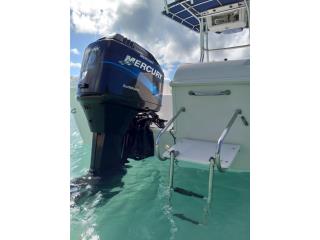 Proline - Proline 22 Sports 2002, Botes Puerto Rico Clasificados Online