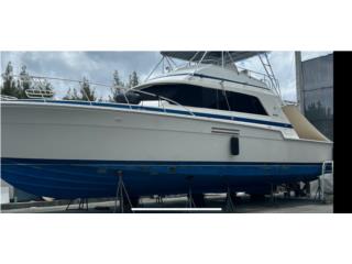 Bertram - Bote 1988 , Botes Puerto Rico Clasificados Online