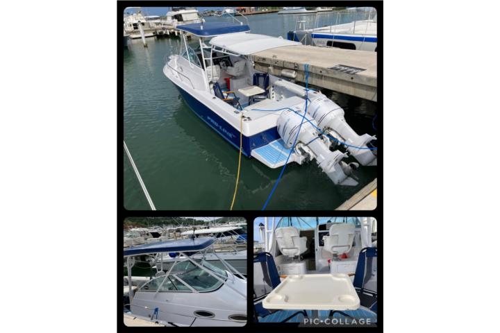 Proline - Proline walk-around 25, Botes Puerto Rico Clasificados Online