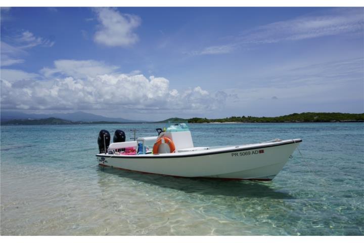 Petrel - Petrel 20’ 2022, Botes Puerto Rico Clasificados Online