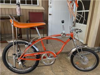 Schwinn Puerto Rico
