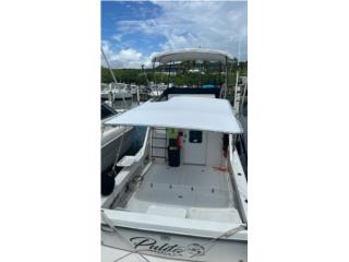 Phoenix - Phoenix 29 1993, Botes Puerto Rico Clasificados Online