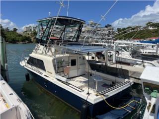 Phoenix - Phoenix 29, Botes Puerto Rico Clasificados Online