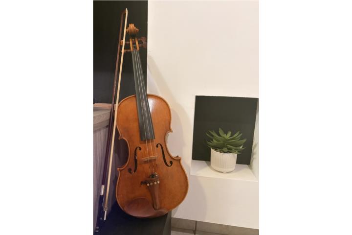 Viola Puerto Rico