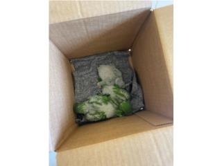 Quaker bb Puerto Rico