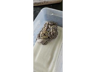 Reptiles Puerto Rico, ClasificadosOnline.com