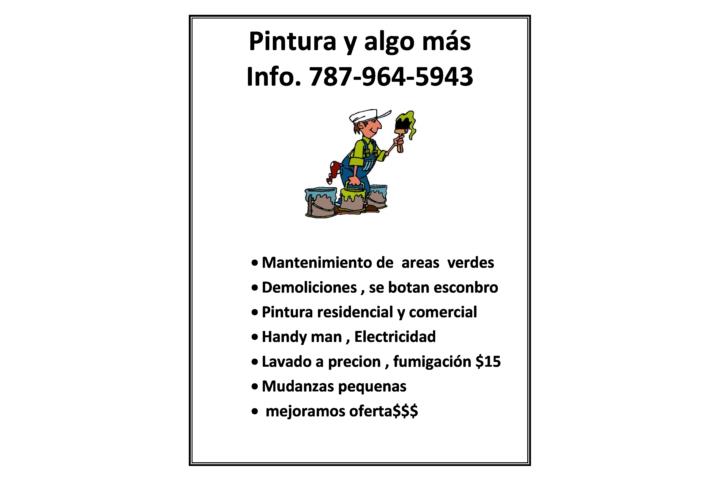 MUDANZAS , ESCONBROS Y OTROS SERVICIOS Puerto Rico, Handyman