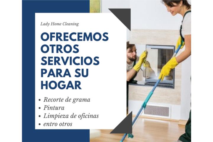 Lady Home Cleaning Puerto Rico, Servicios