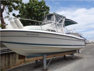 WALLY CASTRO MARINE, Botes, Marinos