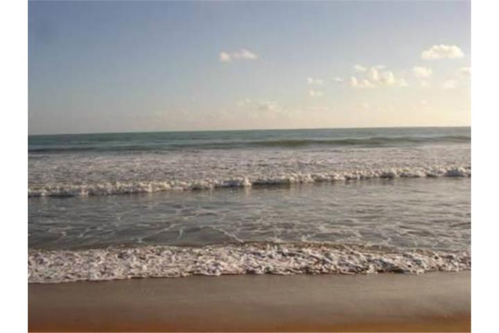 Ocean Sixteen 2B, 2.5B Rio Mar Beach Resort, Condominio-Ocean Sixteen ...