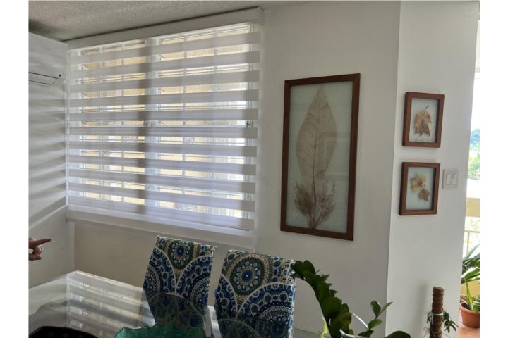 Penthouse Parque Real Guaynabo,
